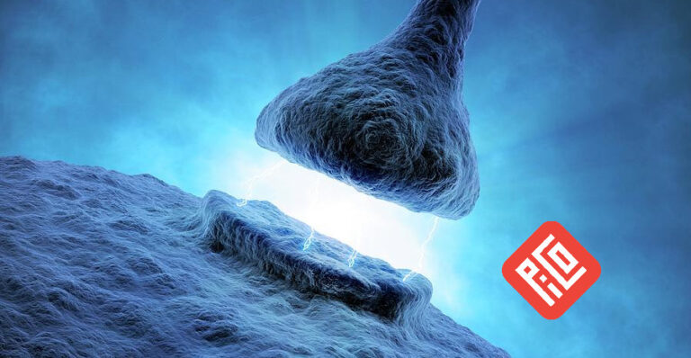 Synapse перенос данных из Oracle в Postgresql Picodata